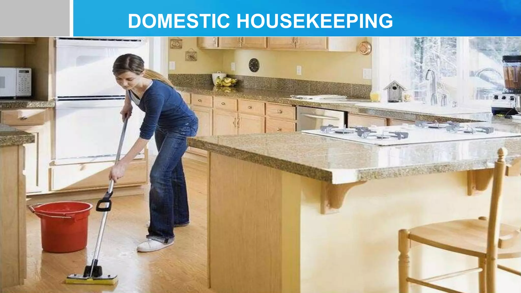 Definition and Scope of Housekeeping | PPTX