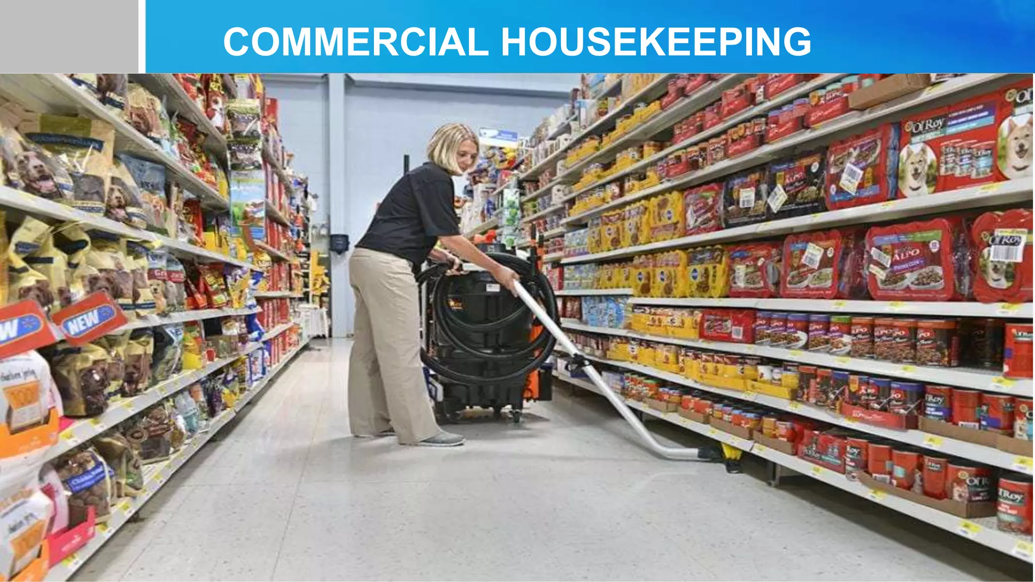 Definition and Scope of Housekeeping | PPTX