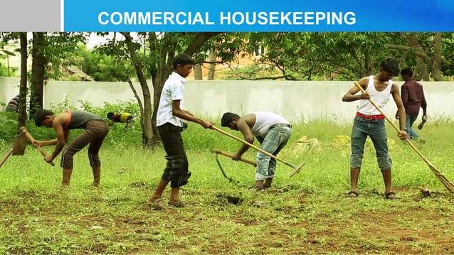 Definition and Scope of Housekeeping | PPTX | Bath and Shower ...