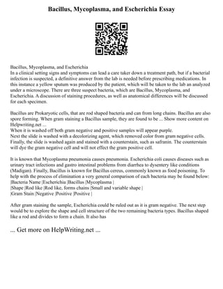 Definition And Tips On Writing An Effective Process Essay | PDF