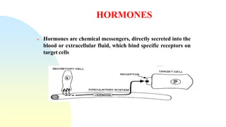 Definition and types of hormones | PPT