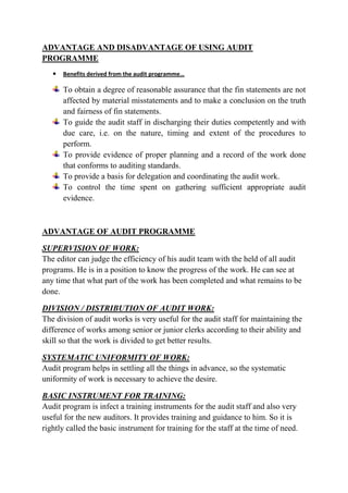 Definition of audit programme | DOCX