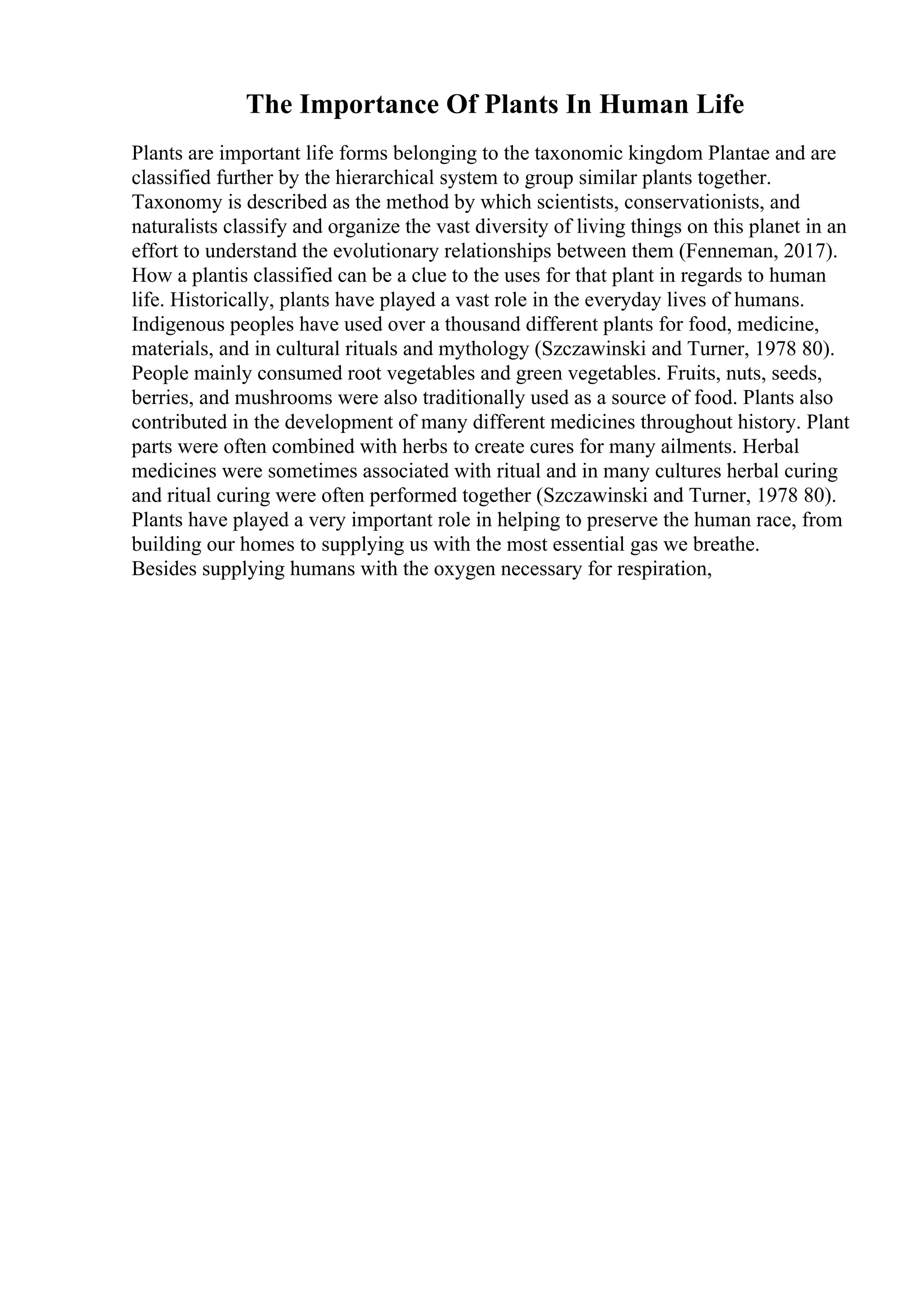 Definition Of Essay Examples.pdf