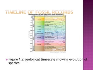 Definition of evolution | PPTX