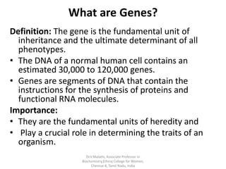 Definition of Genes, Gene organisation.pdf