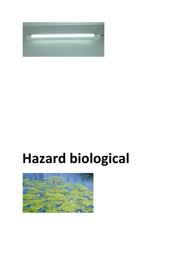 Definition of hazard | DOCX | Chemistry | Science