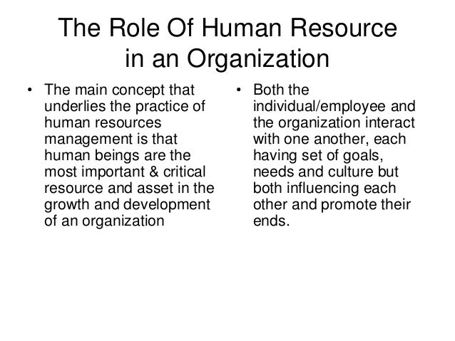 Definition of hr mgt l1