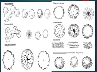 Landscape Design Drawing Symbols