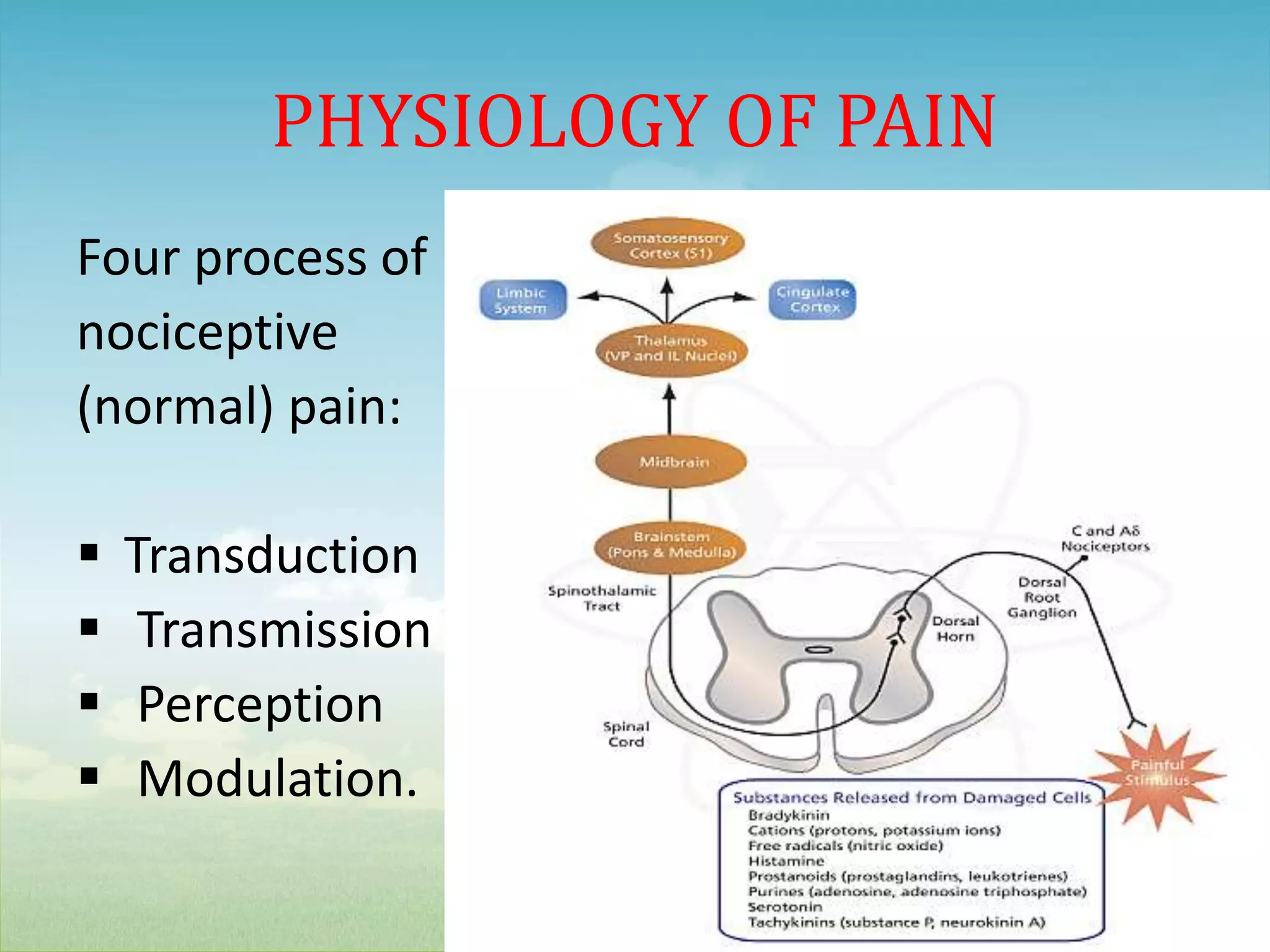 nursing management of a patient with pain | PPTX