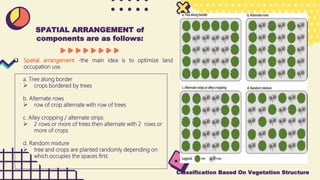 Definitions and Classification of Agroforestry Systems.pptx