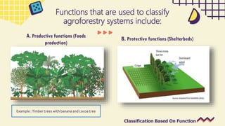 Definitions and Classification of Agroforestry Systems.pptx