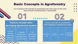 Definitions and Classification of Agroforestry Systems.pptx