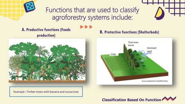 Definitions and Classification of Agroforestry Systems.pptx