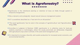 Definitions and Classification of Agroforestry Systems.pptx