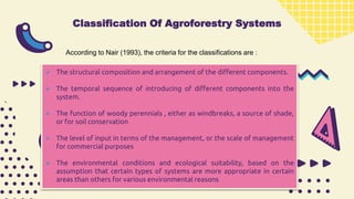 Definitions and Classification of Agroforestry Systems.pptx
