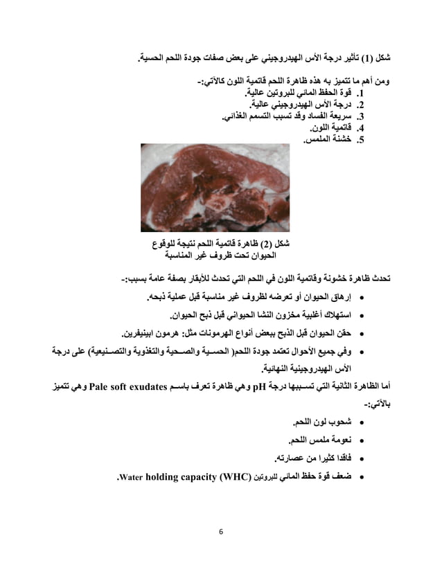Definitions and meat quality assessment 1 | PDF