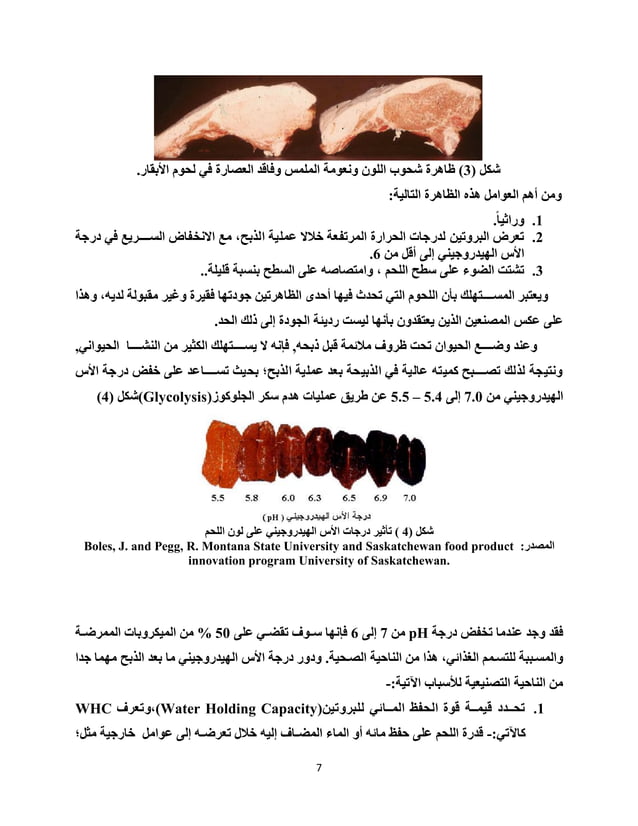 Definitions and meat quality assessment 1 | PDF