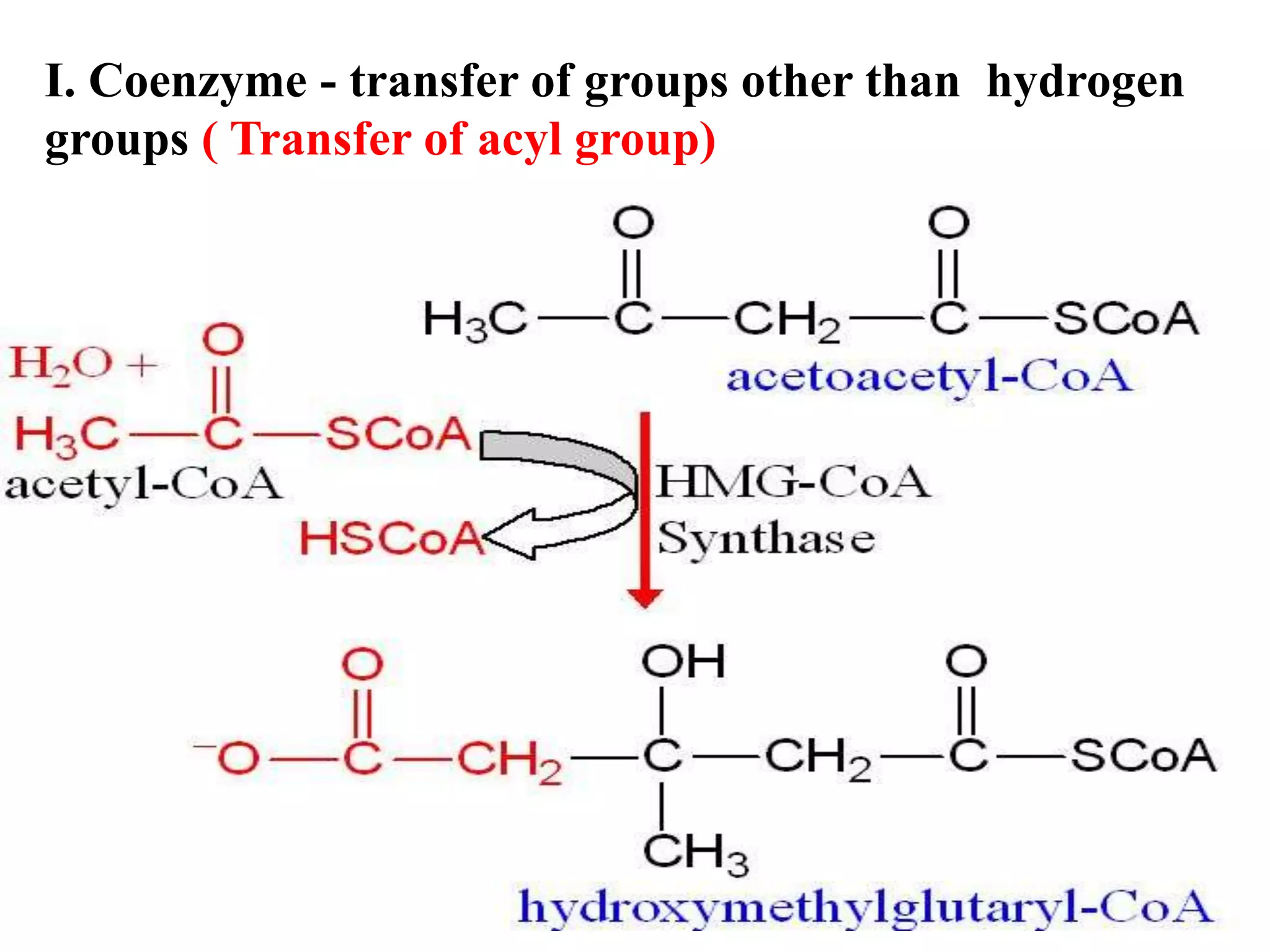 Definitions and types of coenzymes | PPTX