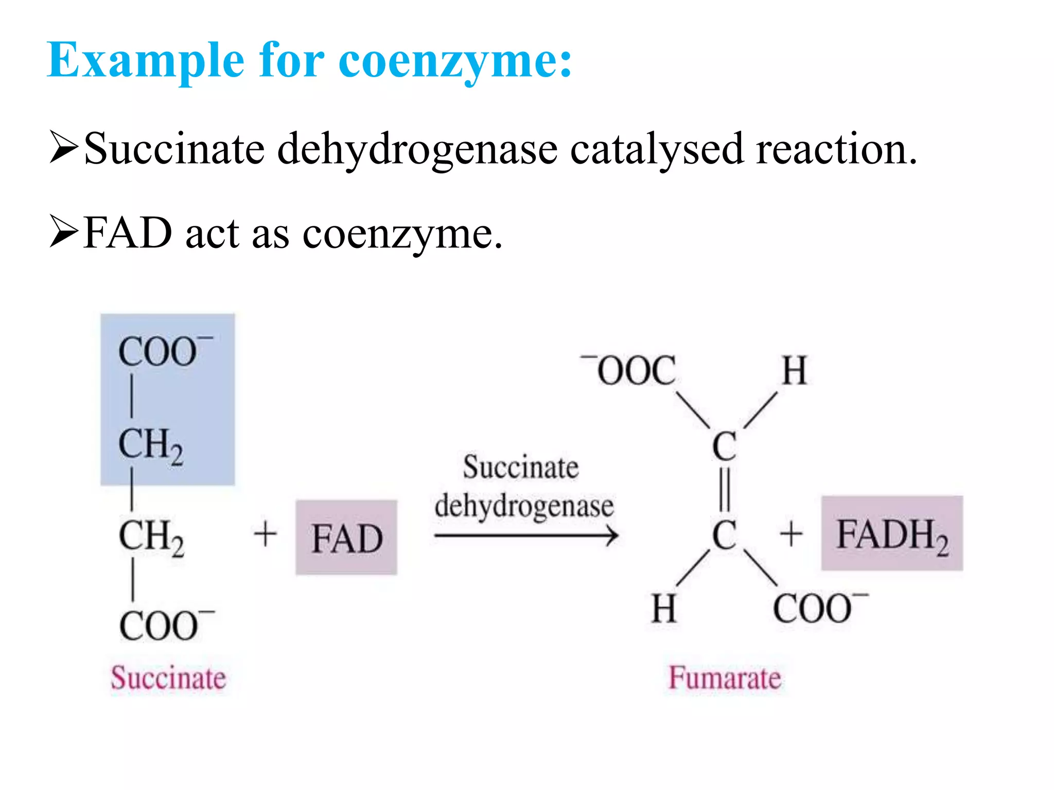 Definitions and types of coenzymes | PPTX