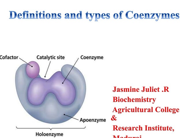 Definitions and types of coenzymes | PPTX | Chemistry | Science