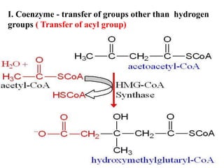 Definitions and types of coenzymes | PPTX