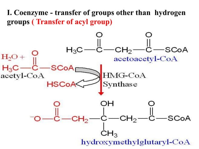 Definitions and types of coenzymes | PPTX | Chemistry | Science