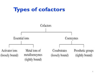 Definitions and types of coenzymes | PPTX