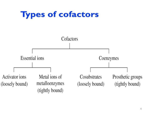 Definitions and types of coenzymes | PPTX | Chemistry | Science