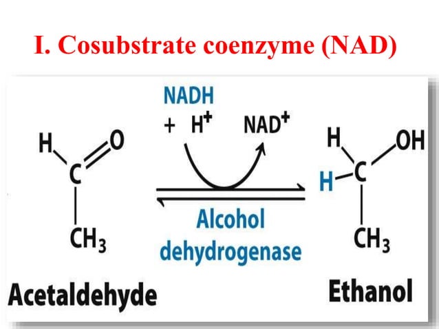 Definitions and types of coenzymes