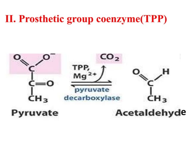 Definitions and types of coenzymes