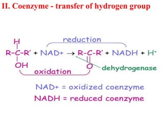 Definitions and types of coenzymes | PPT