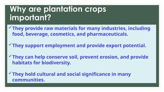 Definition, Scope and Importance of Plantation Crops.pptx