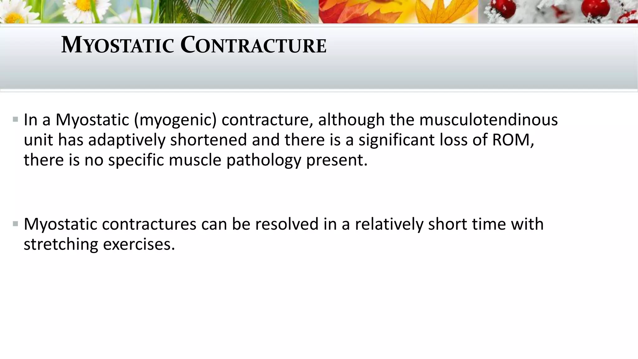 Definitions of terms related to mobility and stretching | PPTX