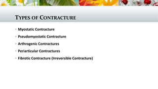 Definitions of terms related to mobility and stretching | PPTX