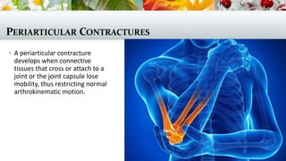 Definitions of terms related to mobility and stretching | PPTX