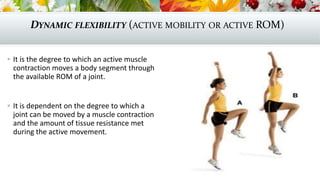 Definitions of terms related to mobility and stretching | PPTX