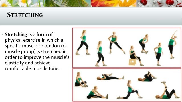 Definitions of terms related to mobility and stretching