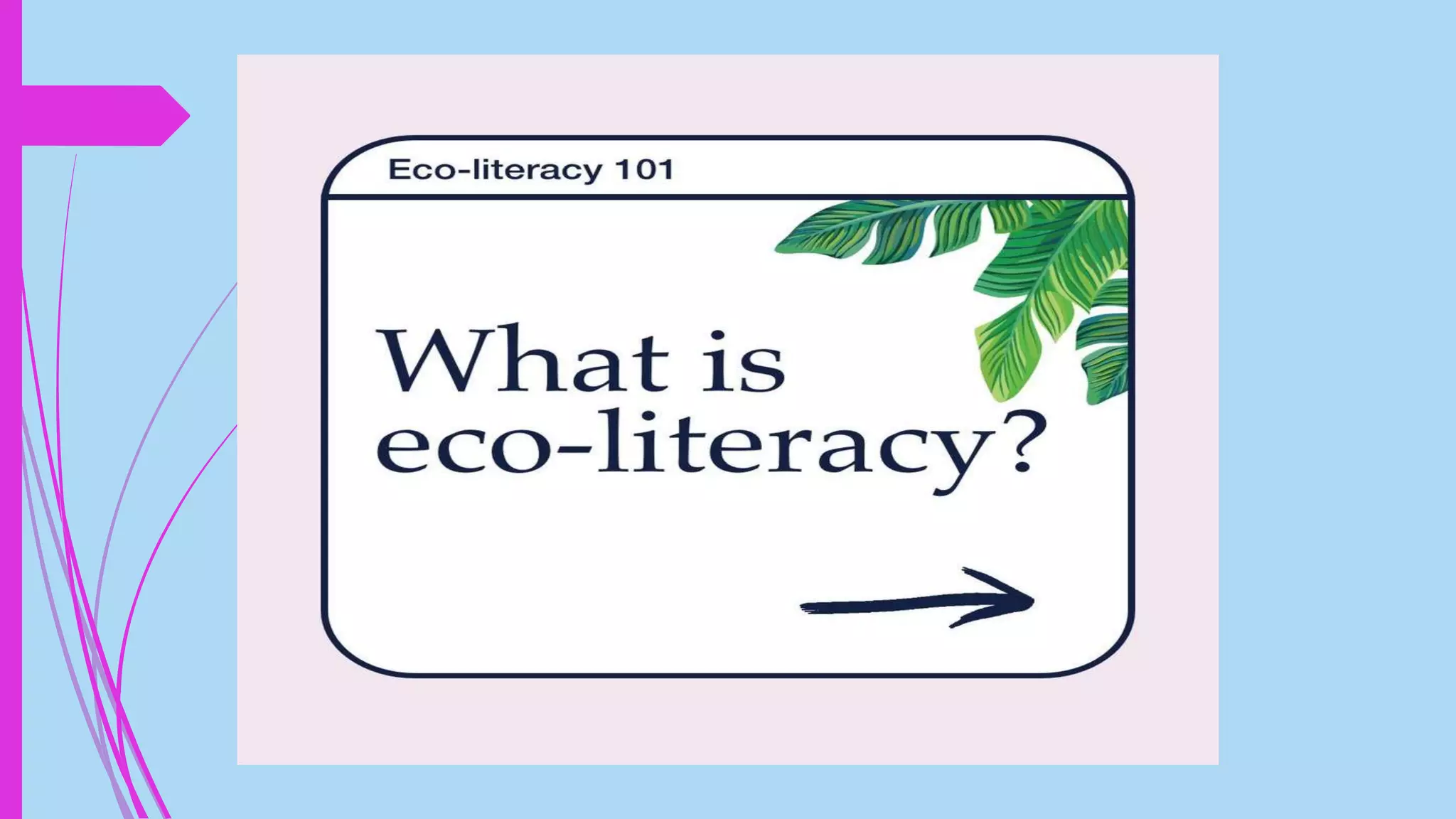 Definitions of the 21st Century literacies.pptx