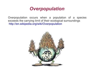 Definitions on settlement and population slide show | ODP | Geography ...