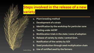 Definitions, variety production release and notification in india and ...