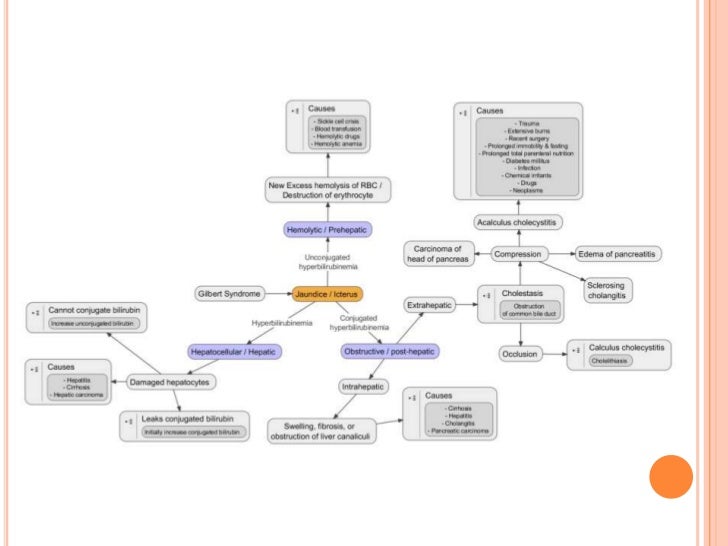Jaundice Meaning Jaundice