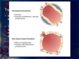 Definition, types & vascular events of inflammation | PPTX