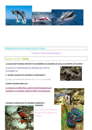 ELS ANIMALS 3r | PDF