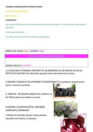 ELS ANIMALS 3r | PDF