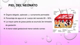 valoración de la higiene y protección de la piel. | PPTX