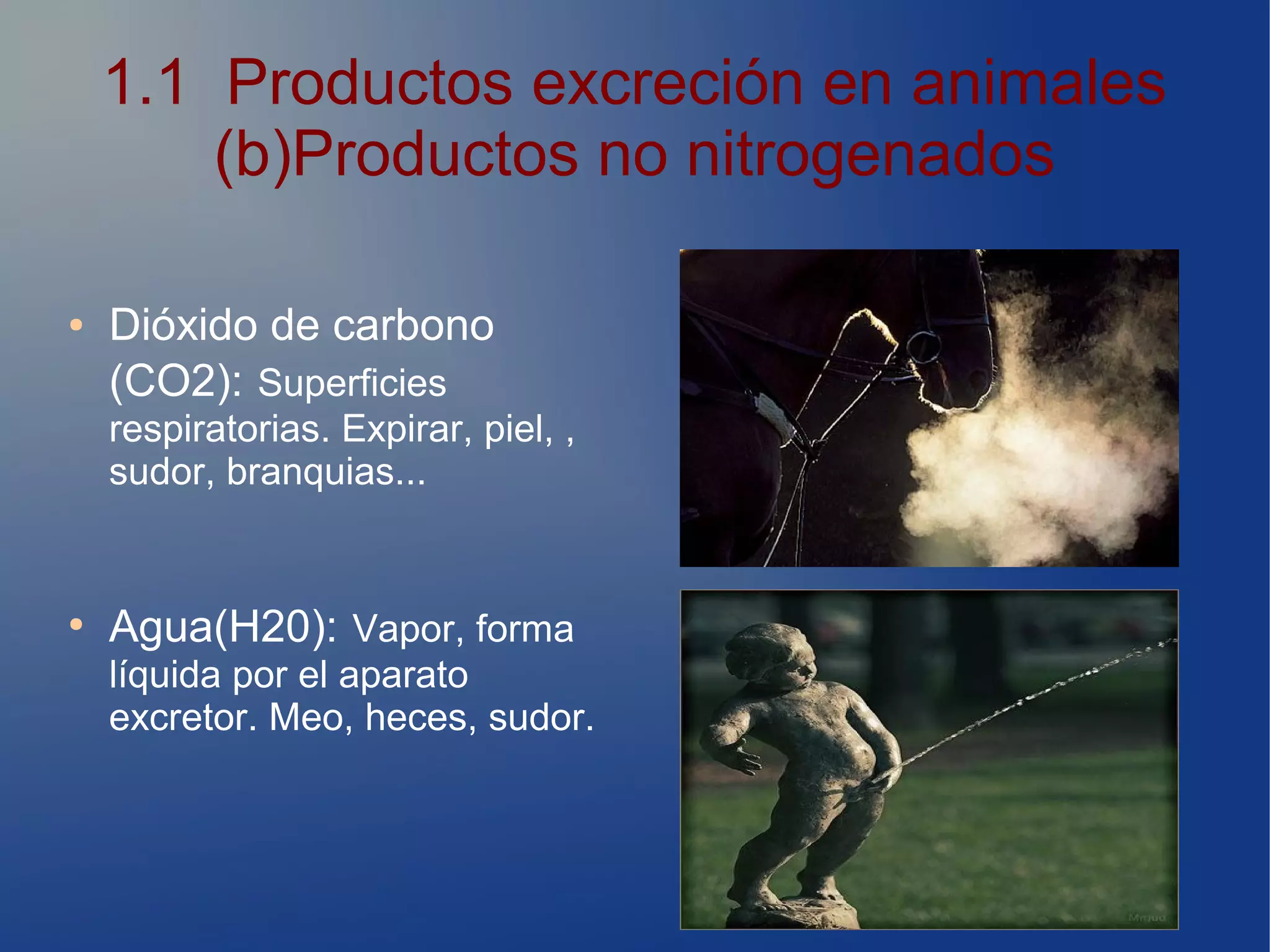 La excreción en los seres vivos. | ODP | Biological Sciences | Science