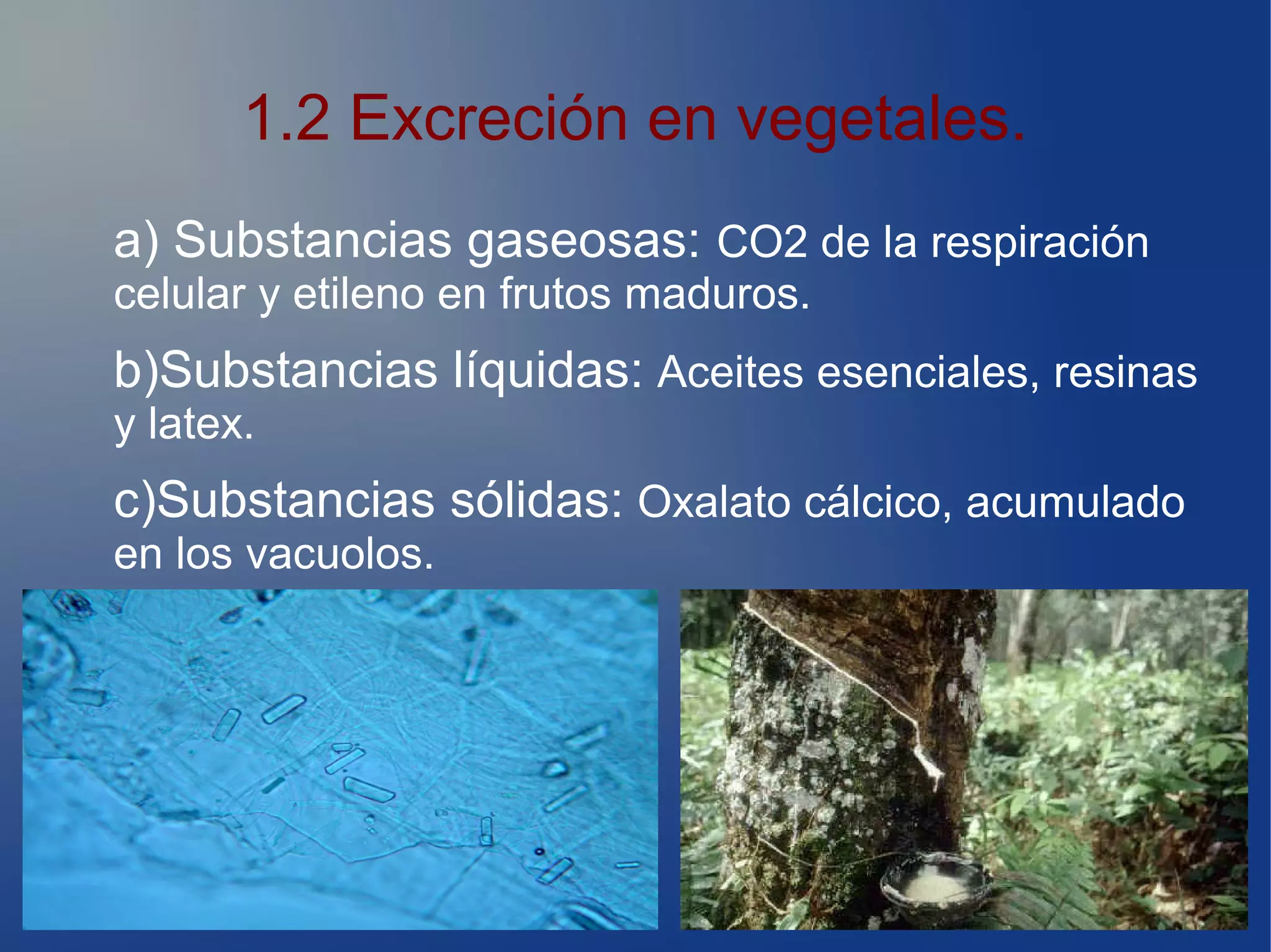 La excreción en los seres vivos. | ODP | Biological Sciences | Science