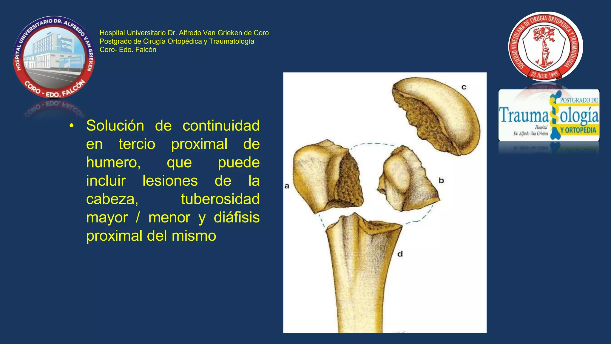 definitivo humero proximal | PDF
