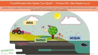 Elisa Gatto - Ruolo ed effetti dei Prodotti Fitosanitari | PPTX