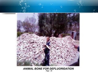 deflouridation.ppt